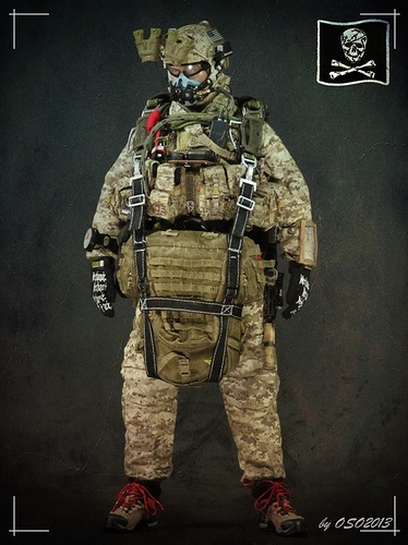 devgru dominator